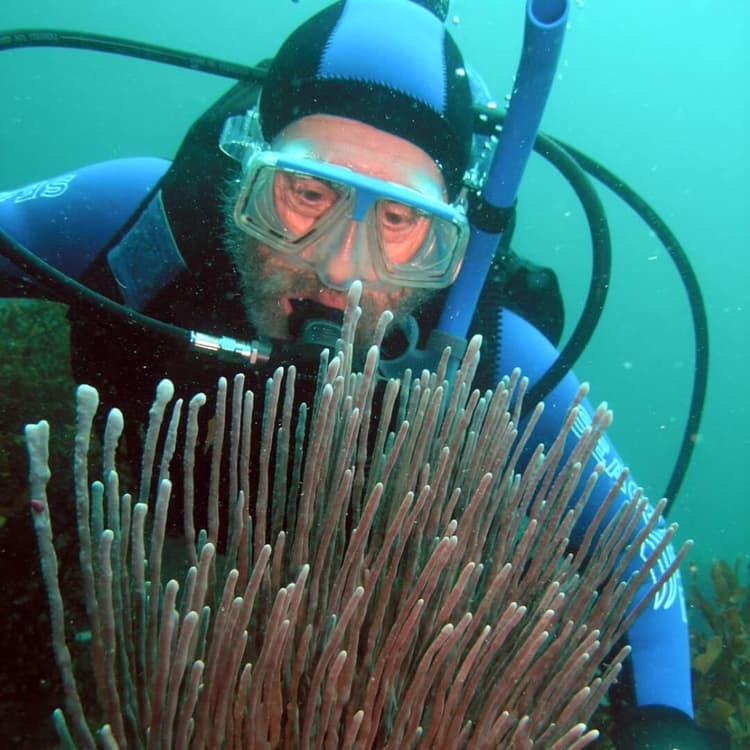 Home | Matakana Coast Tourism