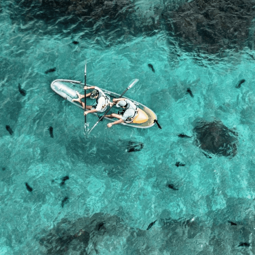 Visit Matakana Coast | A Destination For Discovery