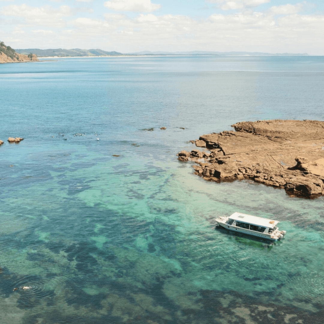 Visit Matakana Coast | A Destination For Discovery