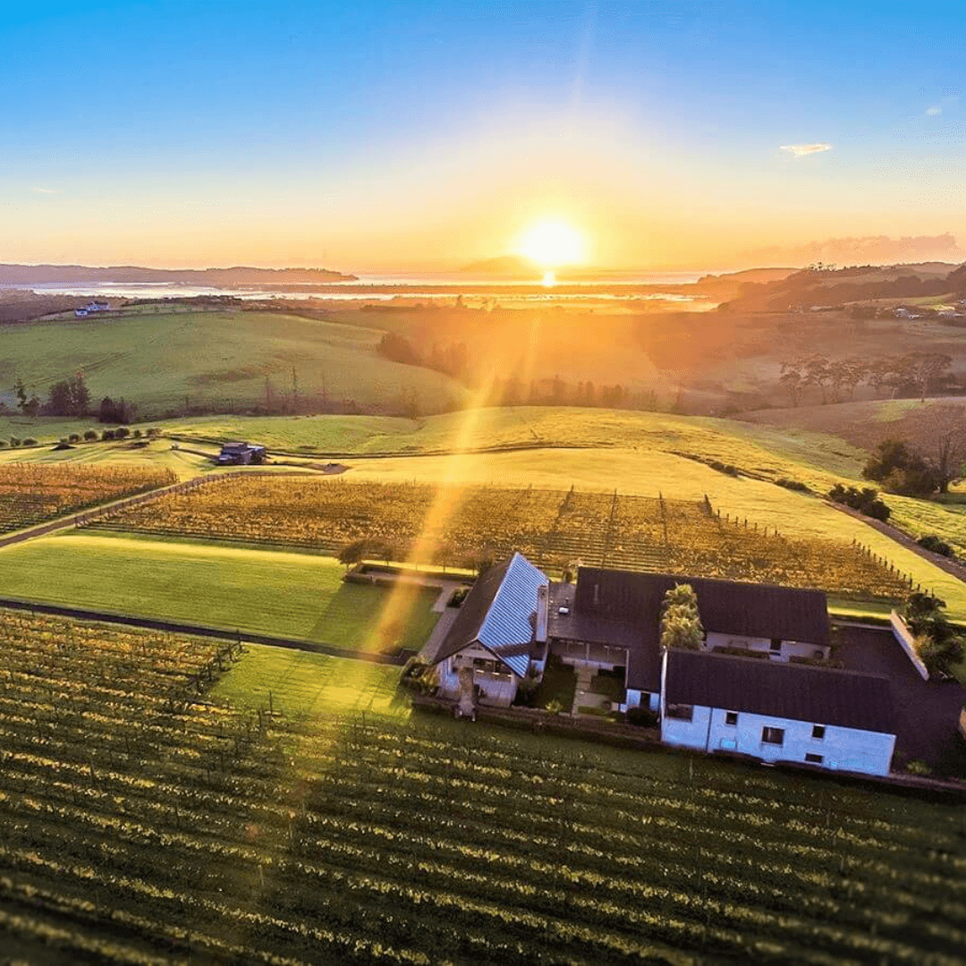 Visit Matakana Coast | A Destination For Discovery