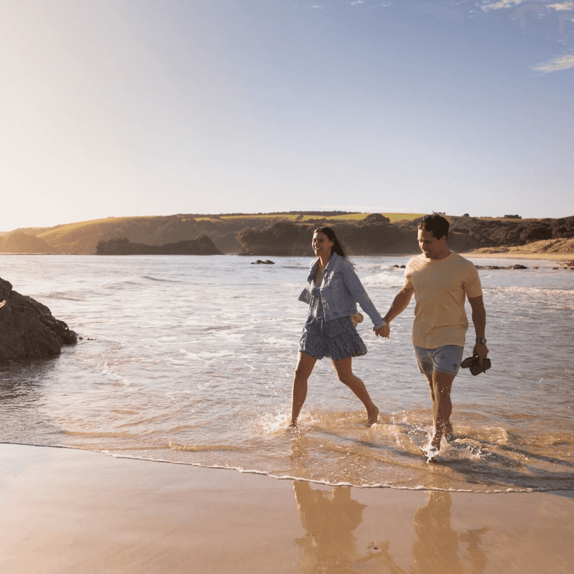 Visit Matakana Coast | A Destination For Discovery